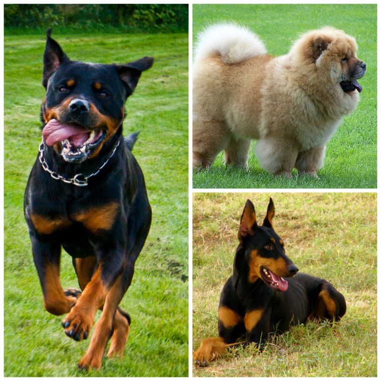 octubre 2016 – Página 2 – MiMontessori