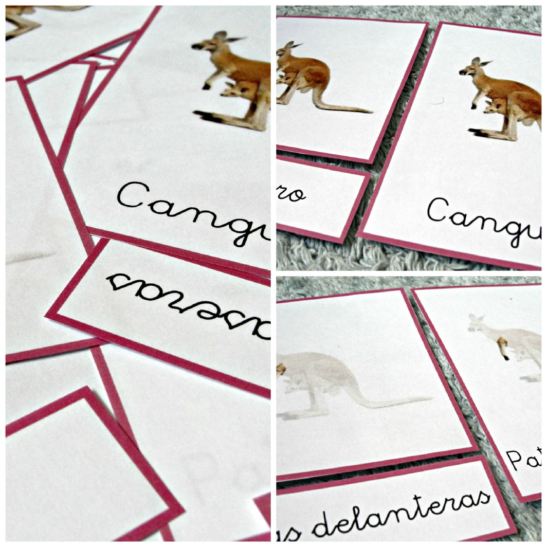 Biología – Página 7 – MiMontessori