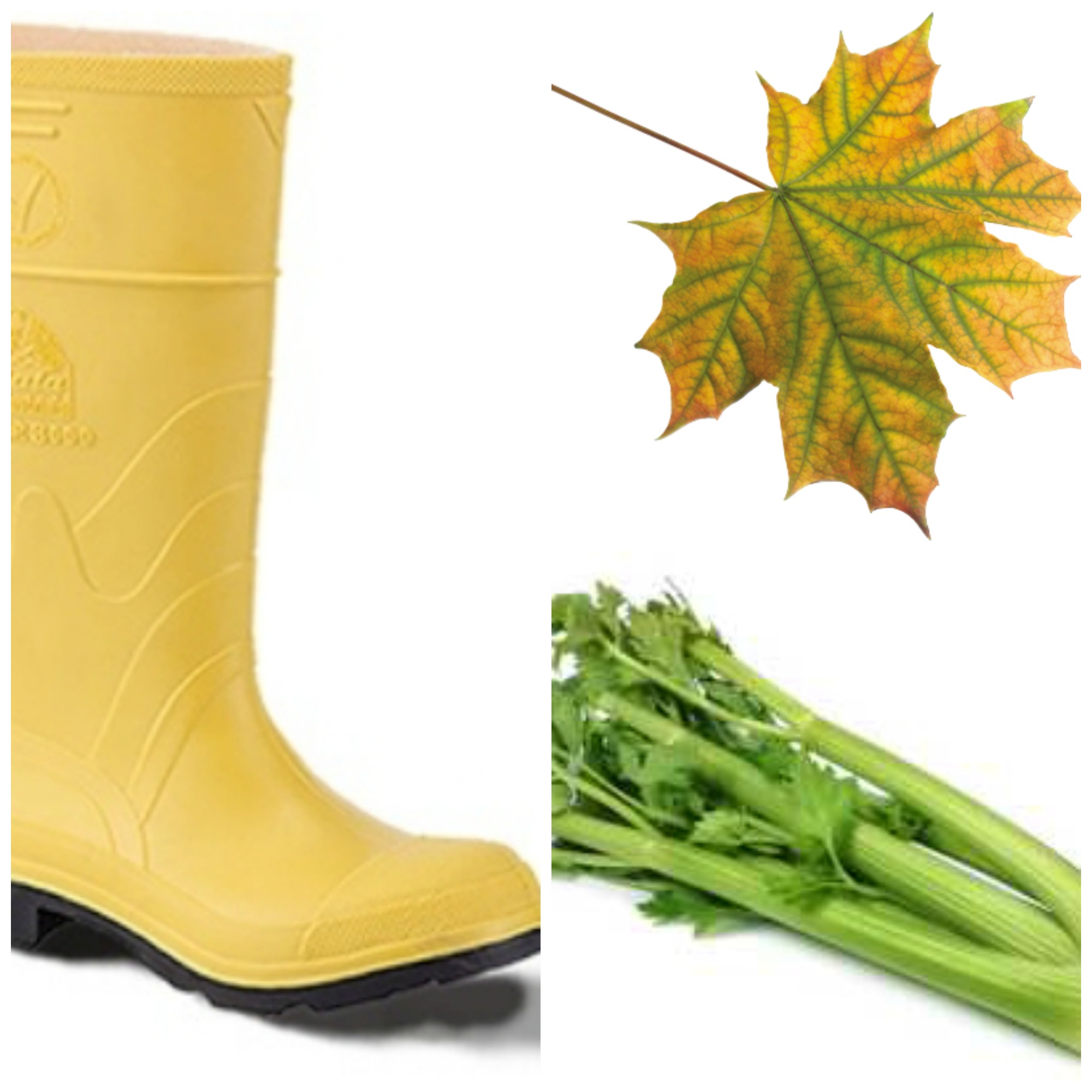 Serie Azul I: palabras de cuatro letras – MiMontessori