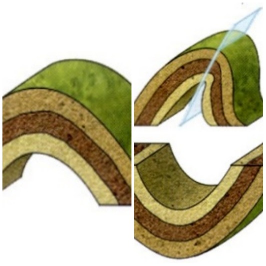 Tipos de pliegues – MiMontessori