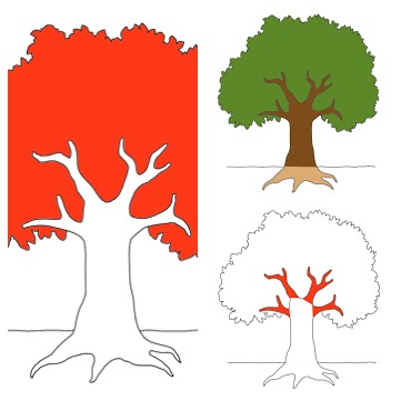 Partes del árbol – MiMontessori