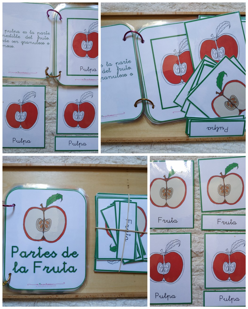 Librito para taller: Partes de la fruta – MiMontessori